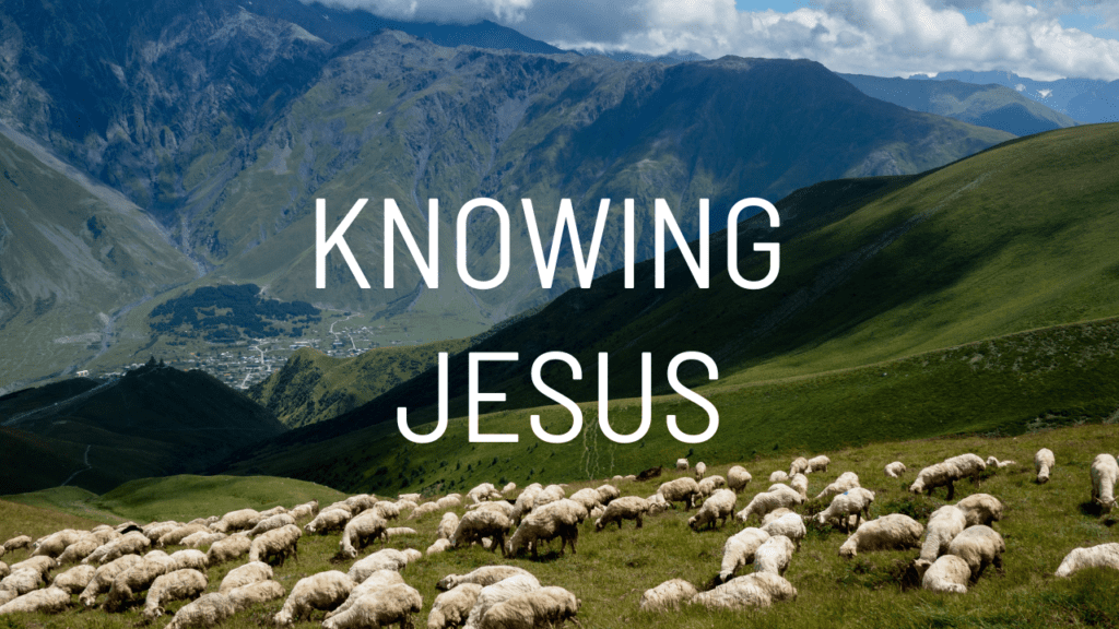 "Knowing Jesus" Curriculum Sneak-Peek - Rooted Ministry