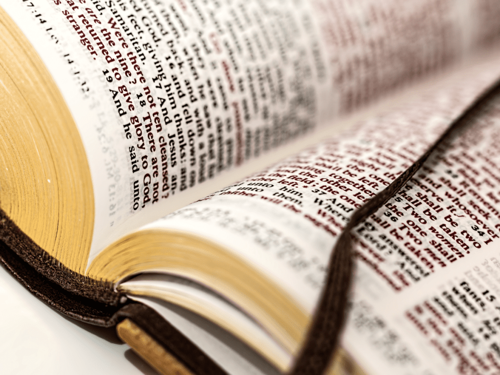 Youth Ministry Programs & Curriculum | Rooted Ministry