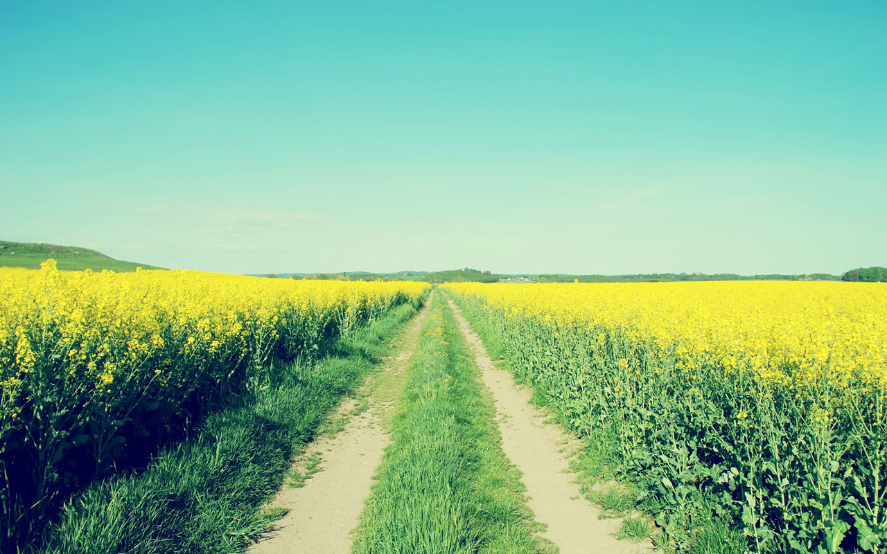 Youth Ministry Without Formal Training Rooted Ministry
