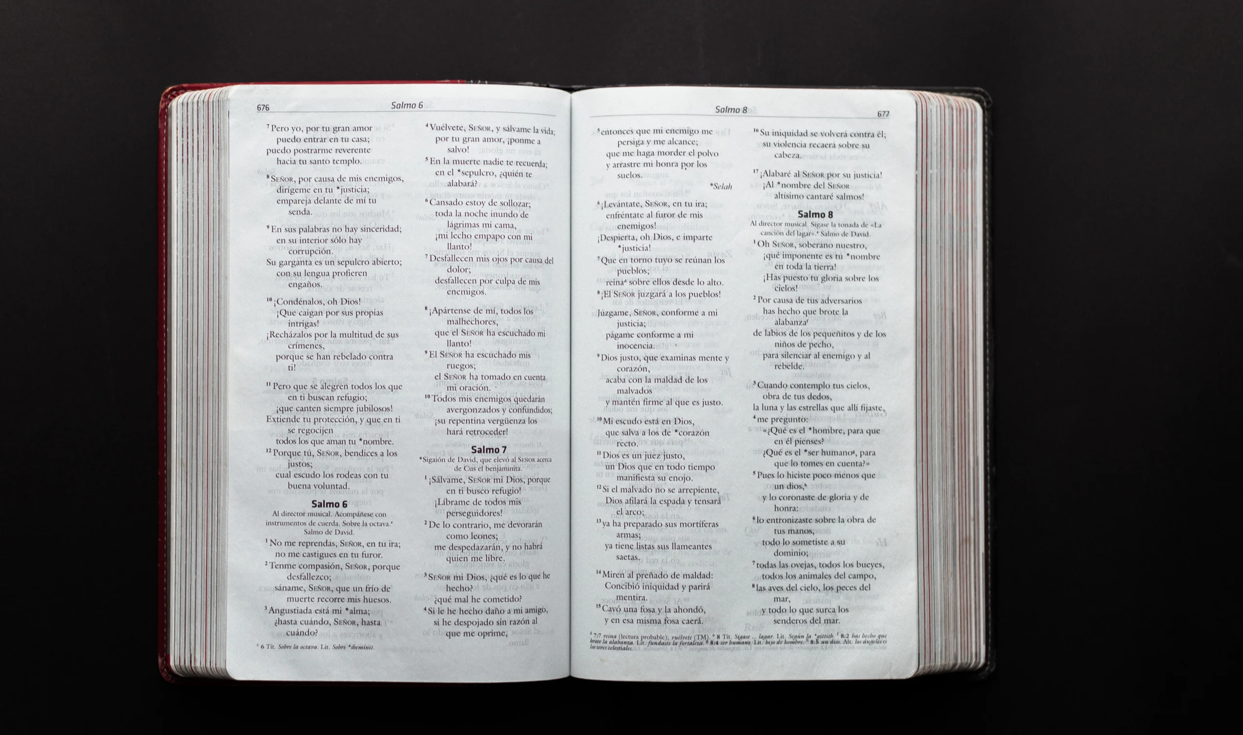 Bible Teaching - Rooted Ministry